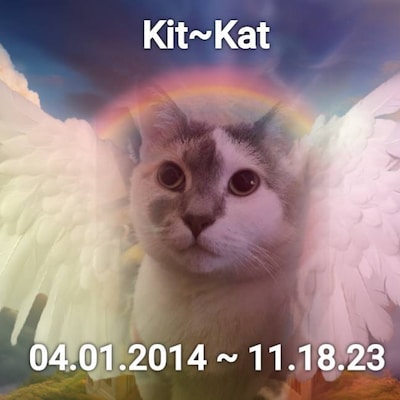 Pink Princess Castle Digital Backdrop Fairy Tale Princess Photography ...