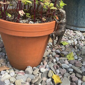 Peter Rabbit Pot Buddy Pot Hanger Beatrix Potter Gift - Etsy