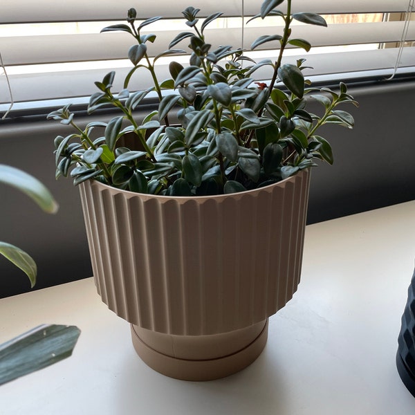 Lightweight Planter Pot | Beige | 4",6" and 8" Sizes - Etsy