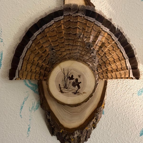Hunting. Grouse Hunting. Grouse Fan Display. Grouse Fan Mount. Grouse ...