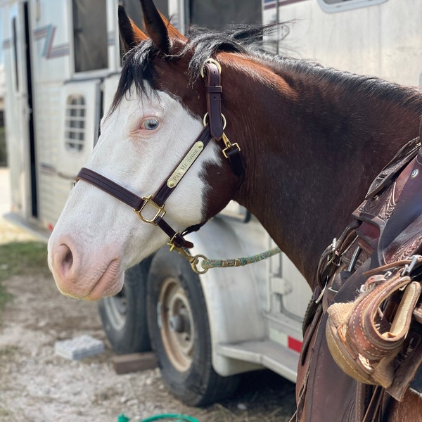 Personalized Leather Horse Halter With One Brass Tag - Etsy