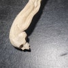 Deer Antler Carving Skull Octopus for Knife Handle - Etsy