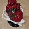 Realistic Heart-shaped Box 2 Styles Anatomical Heart - Etsy