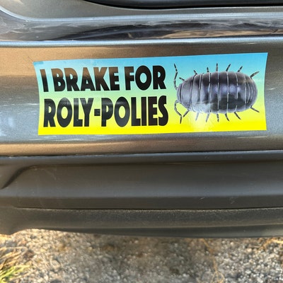 I Brake for Roly-polies Bumper Sticker - Etsy