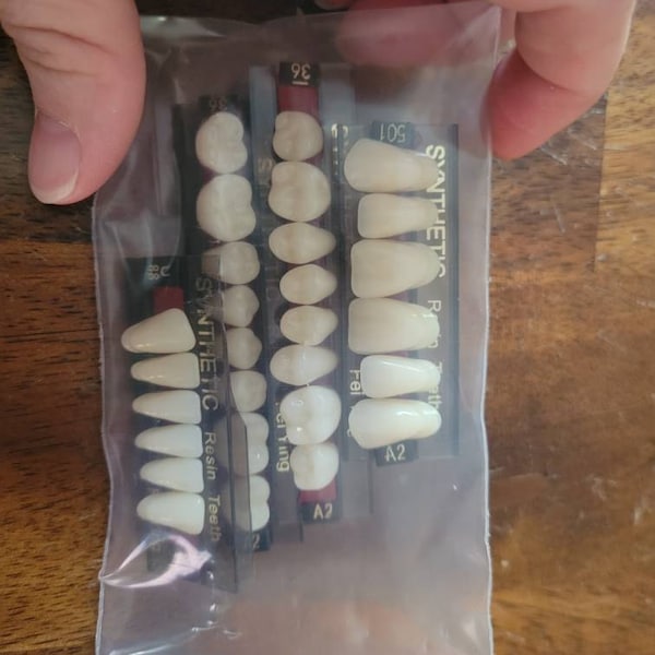 Halloween Horror Prop - Life Size Realistic Resin Full Mouth Set of ...