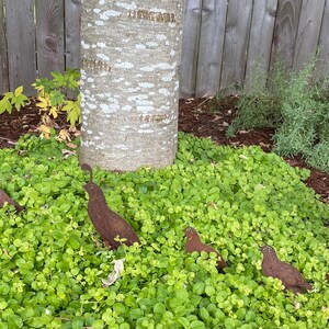 Rustic Metal Raccoon Rusty Yard Art. - Etsy