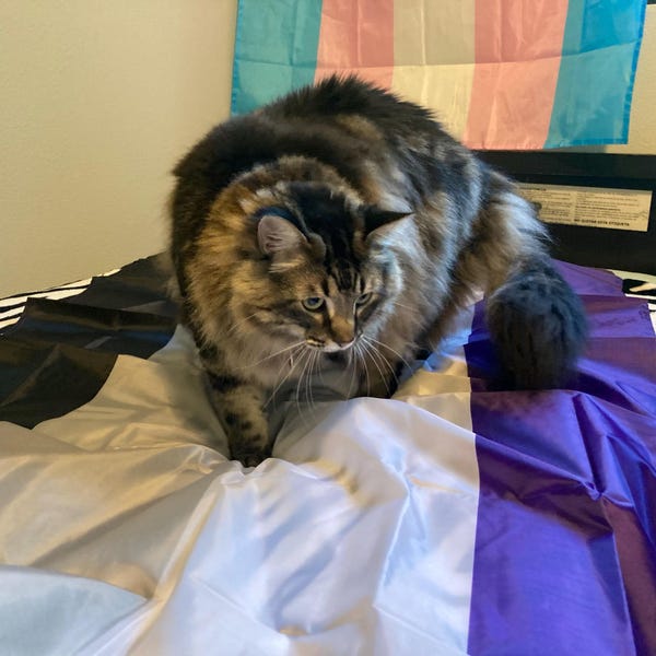 Non-binary Pride Power Pack - Etsy