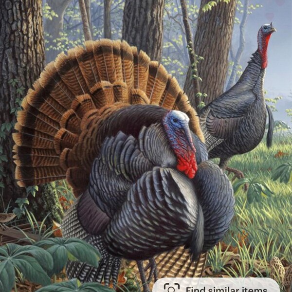918 Wild Turkey Panel, 34" W X 42-3/4" L. Turkey Fabric for ...