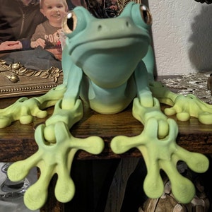 XL 6.5 Long White's Tree Frog 3D Printed Articulated Fidget Toy Eco ...