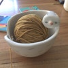 White Ceramic Baby Sloth Yarn Bowl, Knitting Bowl, Wool Bowl. Decorated ...