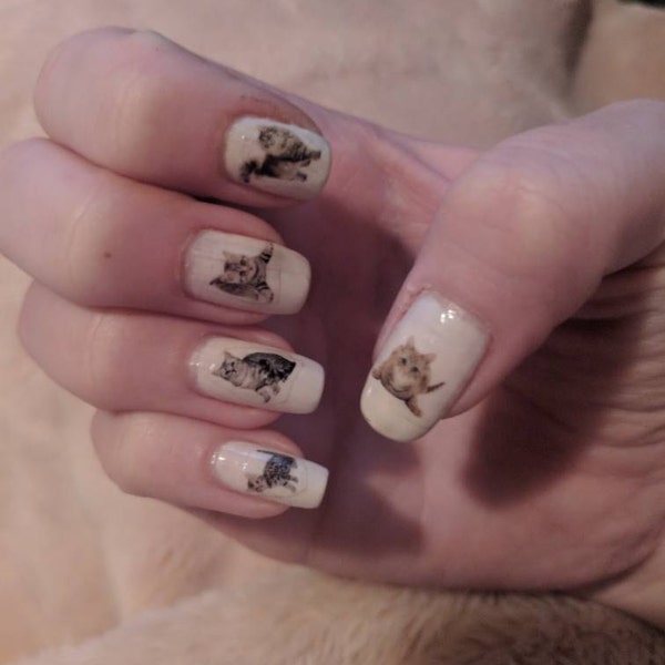 Cat Nail Stickers, Water Slide Nail Decals, Nail Tattoos, Cats and ...