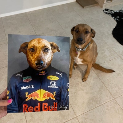 Red Ball Formula Racing Car F1 Driver Team Pet Portrait - Etsy