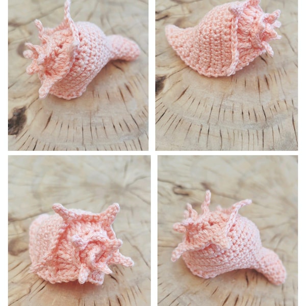 Small Crochet Shell - PDF PATTERN - Etsy