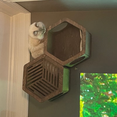 Cat Wall Furniture Full Set, Cat Wall Shelves, Cat Wall Bed, Cat Wall ...