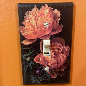 Dinosaurs Baby Blue & White Light Switch Cover Bedroom Living Kids Teen ...