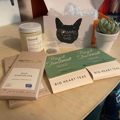 Final Exams Gift Box Exam Care Package Gift for Student College Gift ...