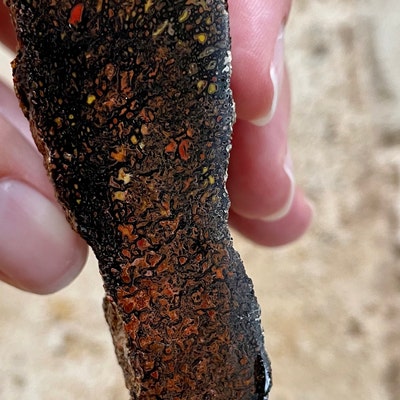 Agate Dinosaur Gem Bone Collection Piece Hand Made Agatized Dino Gem ...