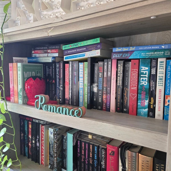 Romance Bookshelf Sign Library Book Lover Gift Custom Colors Book Club ...