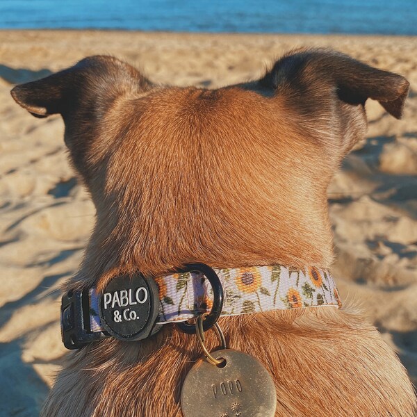Tiny Pet Id Tag | Engraved Dog Name Tag | Dog Tag | Small Dog Tags for ...