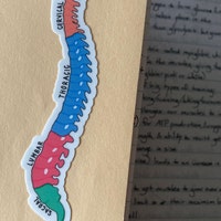 Labeled Digestive System Diagram Sticker Hand-drawn - Etsy