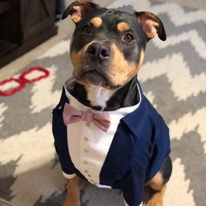 Navy blue dog tuxedo with blush bow tie Dog wedding attire | Etsy