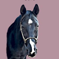Horse Physical Assessment Form | Horse Bodywork | Equine Form | Horse ...