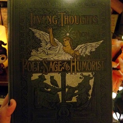 1873 Mrs. Skaggs's Husbands, and Other Sketches by Bret Harte FIRST ...