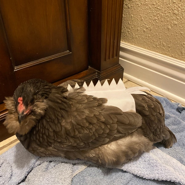 Waterproof Chicken Saddle: Dinosaur Costume Hen Apron With Tail Spikes ...