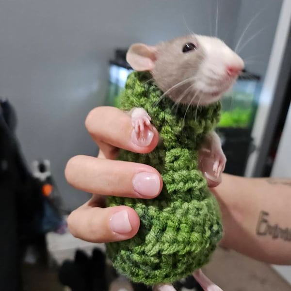 Rat Sweater - Cozy Sweater - Pet Sweater - Red Heart - Yarn - New ...