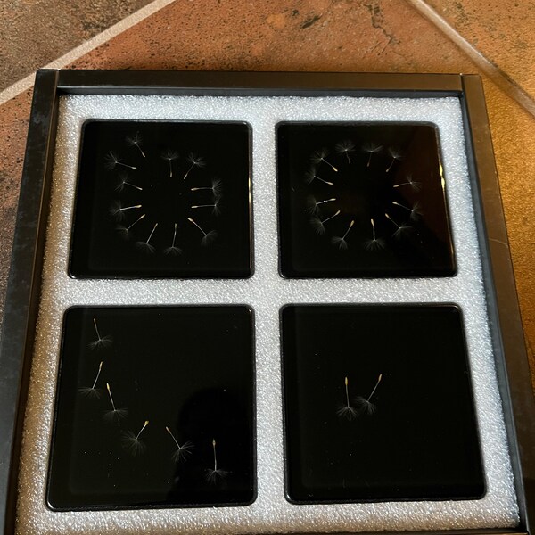 Real Dandelion Seed Coasters - Made From a Real Dandelion! Dandelion ...