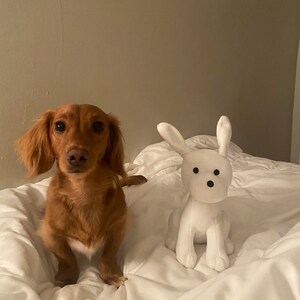 Chippy Snuggle Plush - Etsy