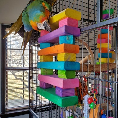 Macaw Ladder, Large Bird Toy - Etsy