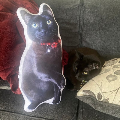 Photo Customization DIY Dog Cushion Pet Plush Toys Dolls Stuffed Animal ...