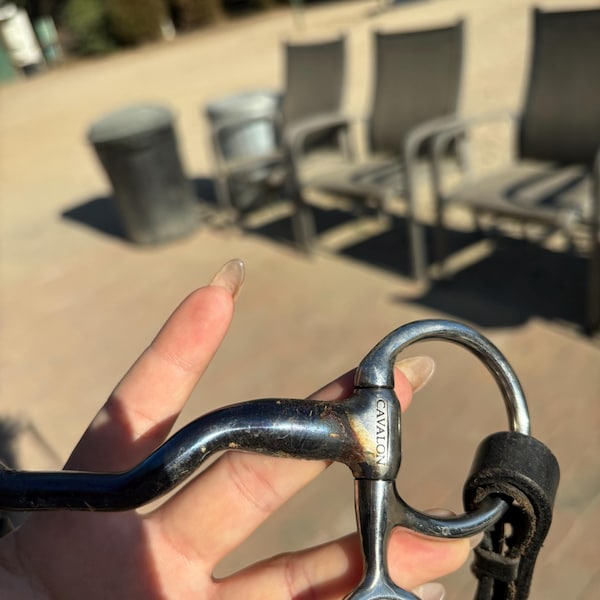 Cavalon Full Cheek Soft Leather Snaffle Bit - Etsy
