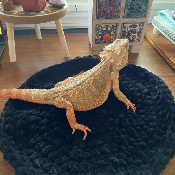 Small Reptile Beds for Leopard Geckos - Etsy