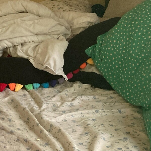 Rainbow Centipede Plush, Centipede Toy, Plush Bug, Plush Insect ...