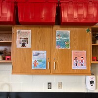 Science Basics Classroom Poster Set, Science Classroom Décor, Anchor ...