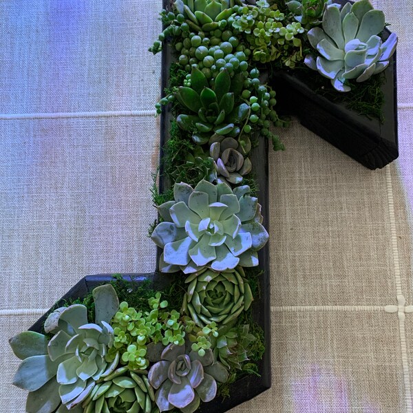 Music Note Succulent Vertical Garden / Living Hanging Wall Planter ...