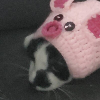 Pink Knitted Yarn Pig Hat for Cat or Small Animal new Design cat ...