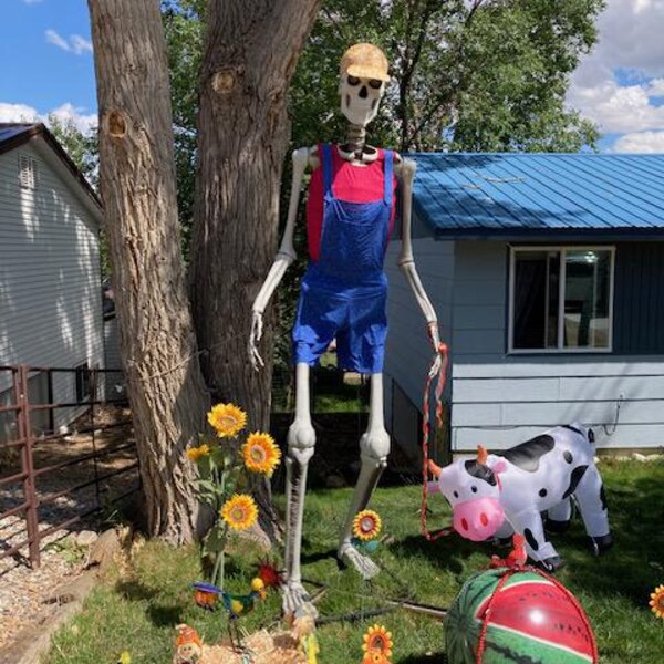 12 Ft Skeleton Pirate Costume skelleton Not Included - Etsy