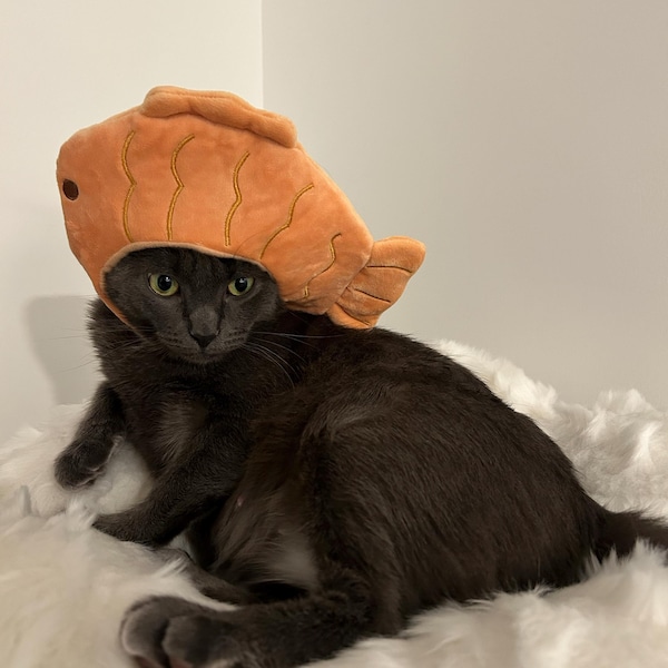 Pet Cat Costume Taiyaki Fish Shaped Bread Hat Cosplay Cute - Etsy