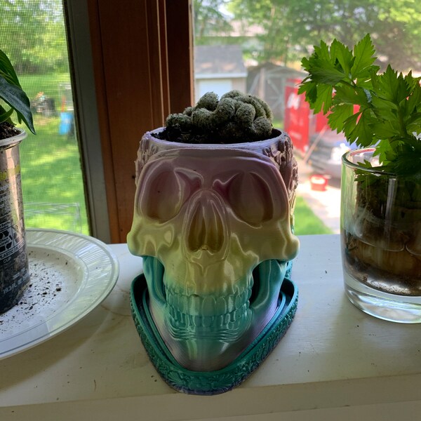 Demon Skull Planter With Horns, 3D Printed, Eco Friendly, Home and ...