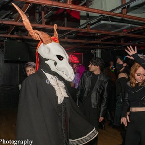 Elias Ainsworth Skull Ancient Magus Bride - Etsy