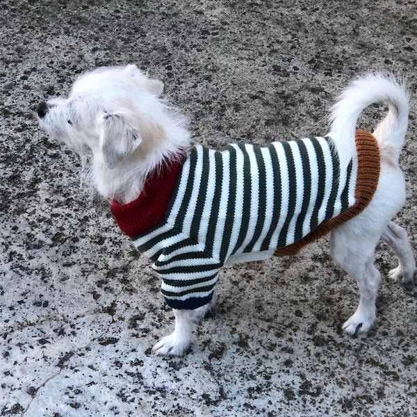 Little Bear Dog Sweater,soft Beige Dog Sweater,cat Sweater, Lightweight ...