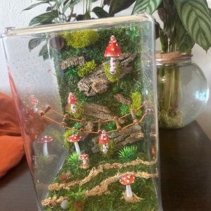 Mystery Mushroom & Ladder Medium Jumping Spider Enclosure, Acorn Hide ...