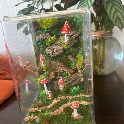 BACKLIT Magical Forest Jumping Spider Enclosure, You Choose Color ...