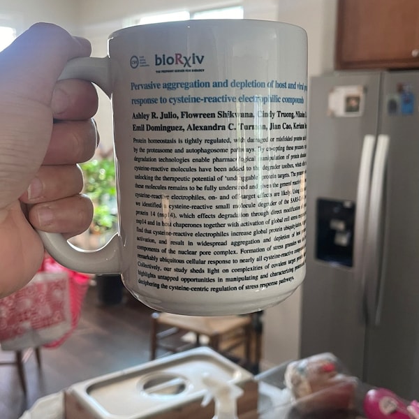 Publication Mug, Custom Quote, Phd Student Gift, Phd Graduation Gift ...