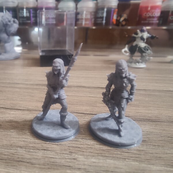 Ice Hunter 28mm D&D Terrain and Miniatures - Etsy