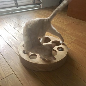 Cat Toys Push'n'ring. Interactive Cat Toy, Best Cat Toys, Cat Furniture ...