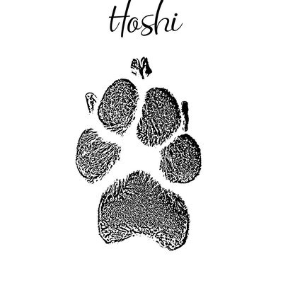 Digital Paw Print Rendering Only No Frame Custom Paw Print Paw Print ...